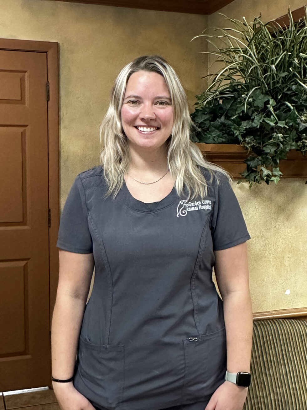 Animal Hospital in Winter Haven, FL | Garden Grove Animal Hospital